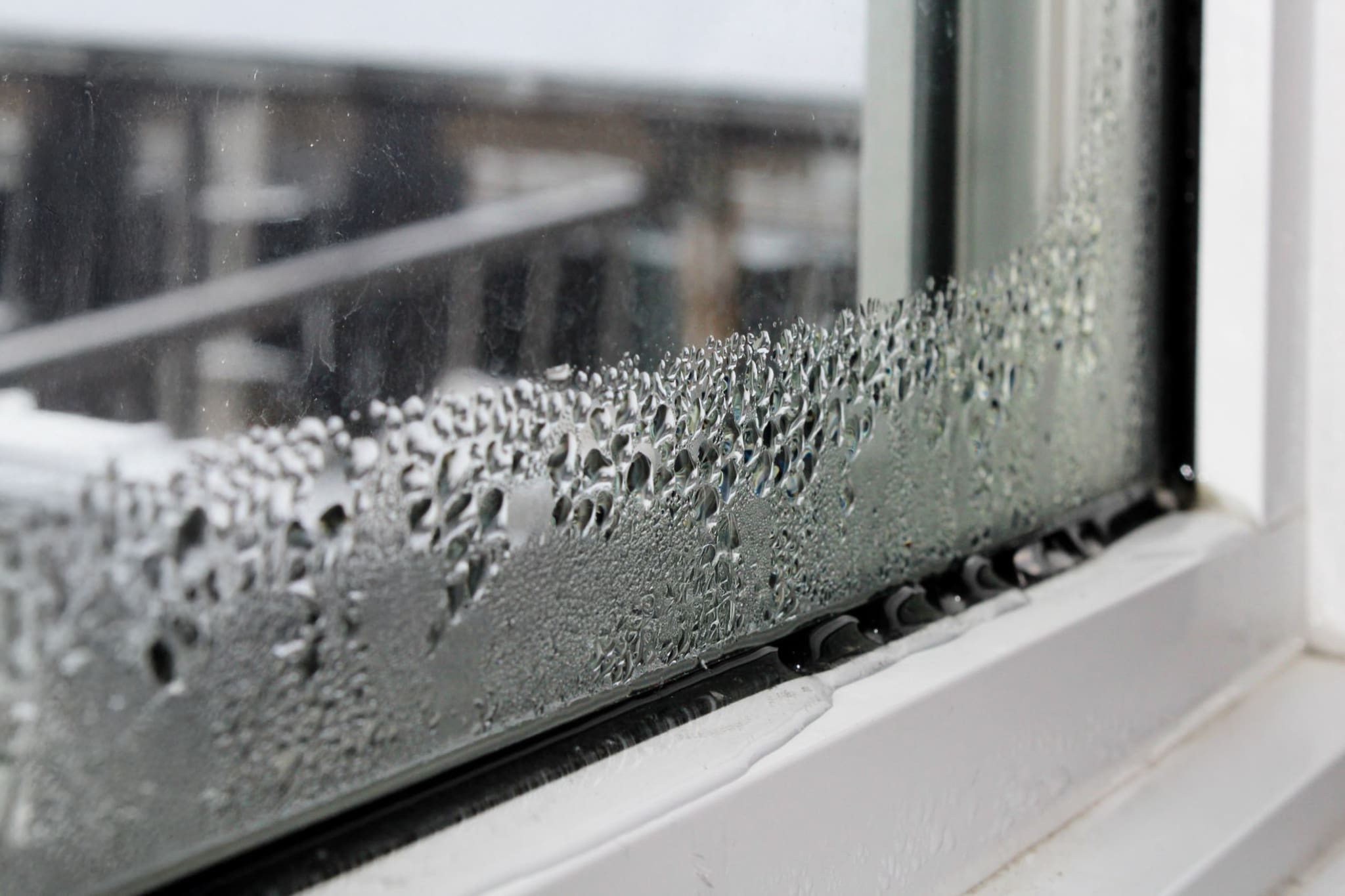 Condensation on Windows: What Causes It and How to Manage It - Ardmor ...